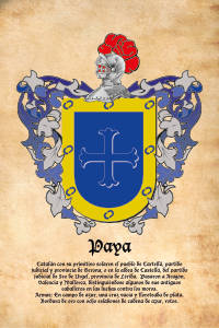 Escudo heráldico PAYA - Tienda Heráldica