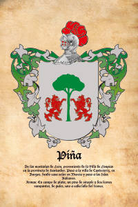 Escudo heráldico PINNA - Tienda Heráldica